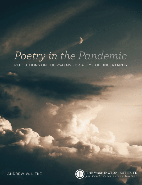 Dr. Steven Garber, Author at The Washington Institute