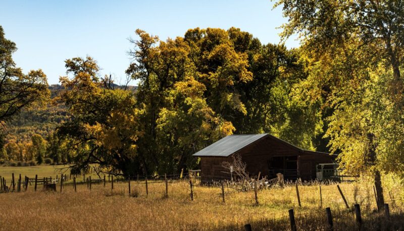 Dr. Steven Garber, Author at The Washington Institute
