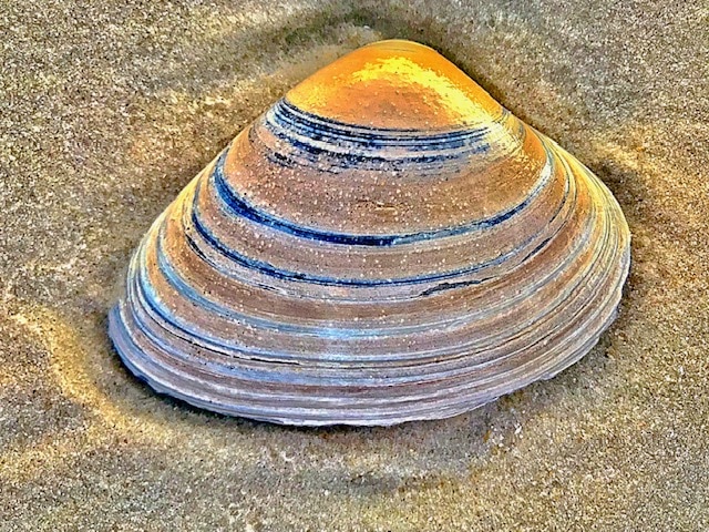 “Hints of Hope: Essays on Making Peace with the Proximate”, A Preview ...