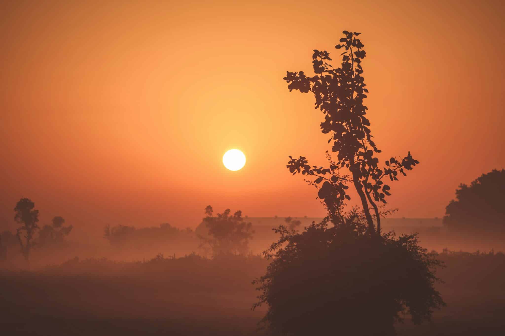 The Destruction of Pride & the Grace of Repentance | The Washington ...